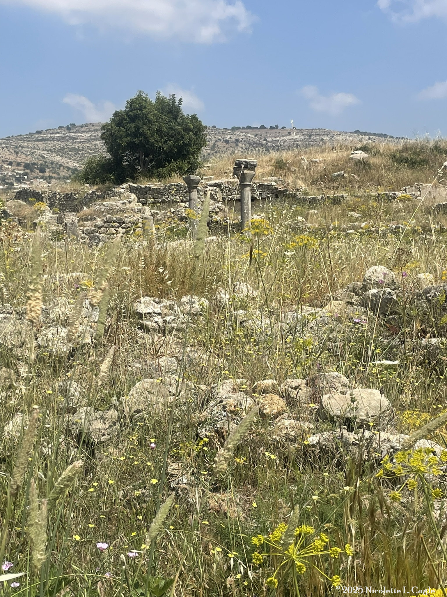 Roman Volubilis, Morocco – Sense of Place